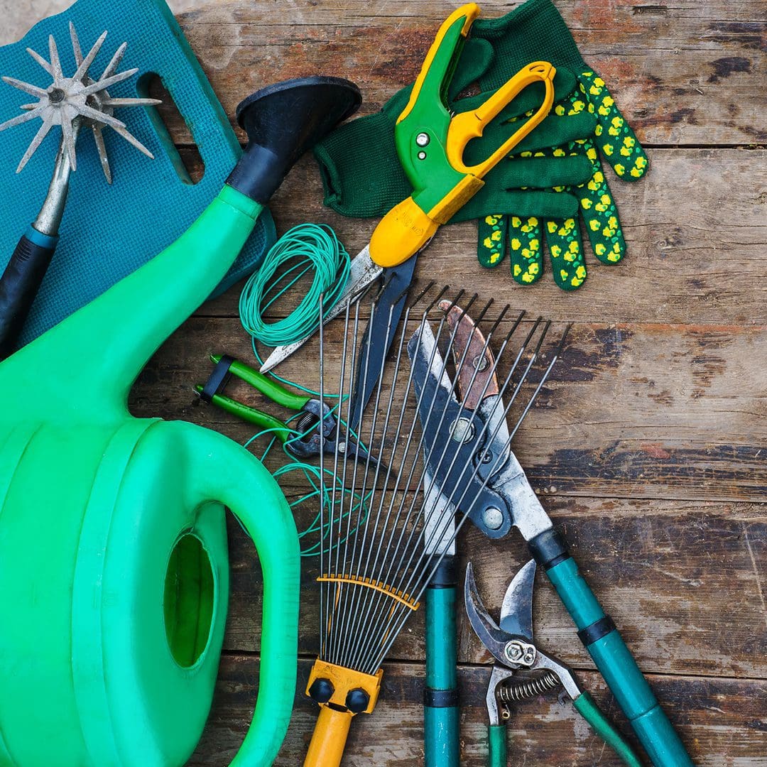 5 Steps to Creating a Community Garden | Shape Your Future | OK TSET